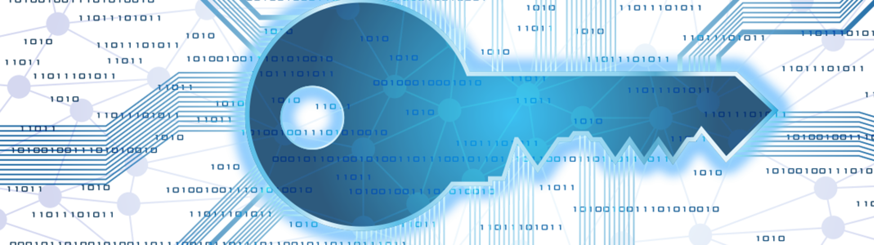 Data Protection Declaration | Kaimann